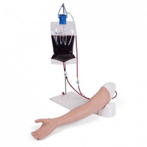 Part Task Trainers DASH - Dinwoodie Assessment and Simulation Hub