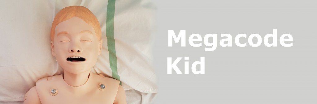 MegaCode Kid DASH - Dinwoodie Assessment and Simulation Hub