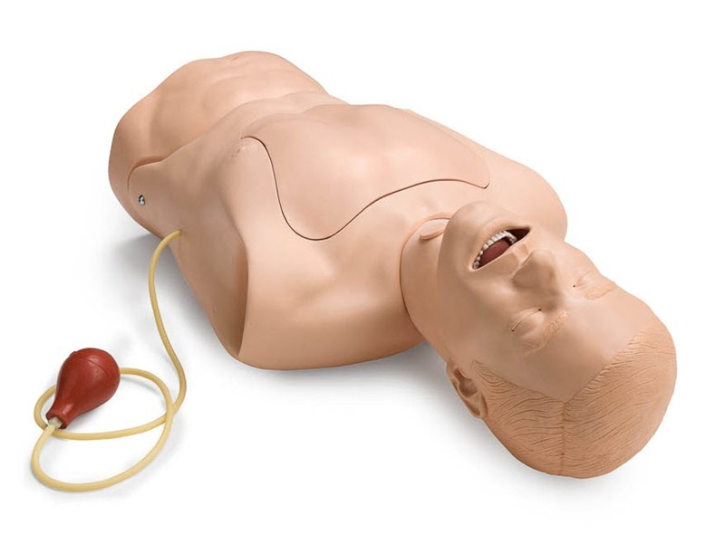 Part Task Trainers DASH - Dinwoodie Assessment and Simulation Hub