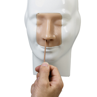 Part Task Trainers DASH - Dinwoodie Assessment and Simulation Hub