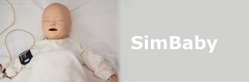 SimBaby DASH - Dinwoodie Assessment and Simulation Hub