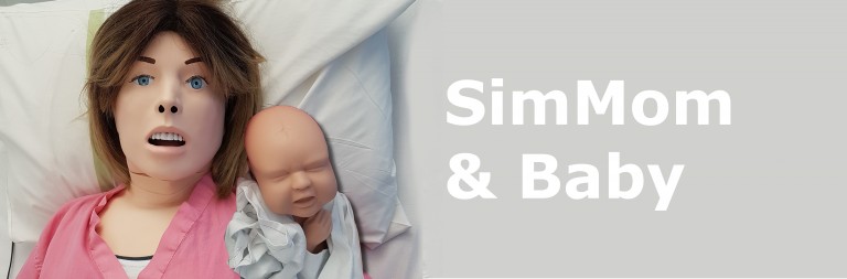 SimMom & Baby DASH - Dinwoodie Assessment and Simulation Hub